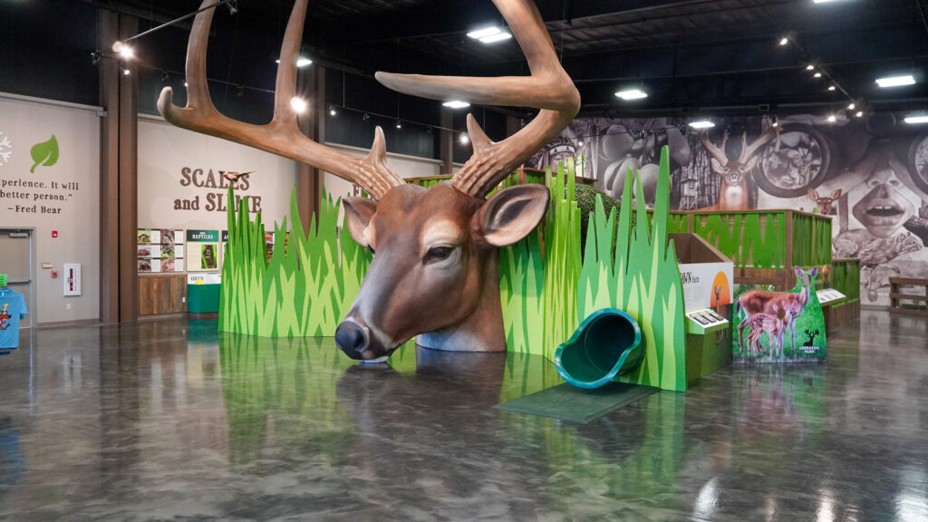 Program Options | Deerassic Park Education Center